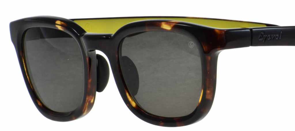 WINZELER 2 XL 50 DM LY PL BK PL – 岡山眼鏡店